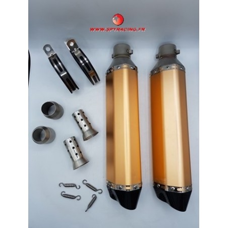 DOUBLE ÉCHAPPEMENT GOLD SPY RACING 250/350 F3